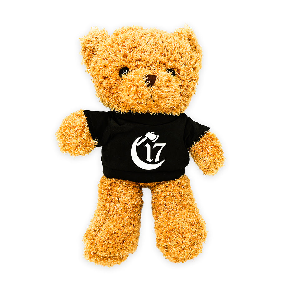 Chapter 17 Records – chapter17