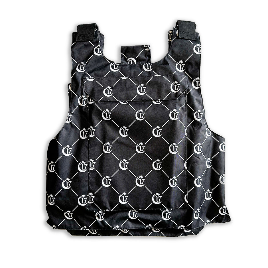 Chapter 17 Records – chapter17