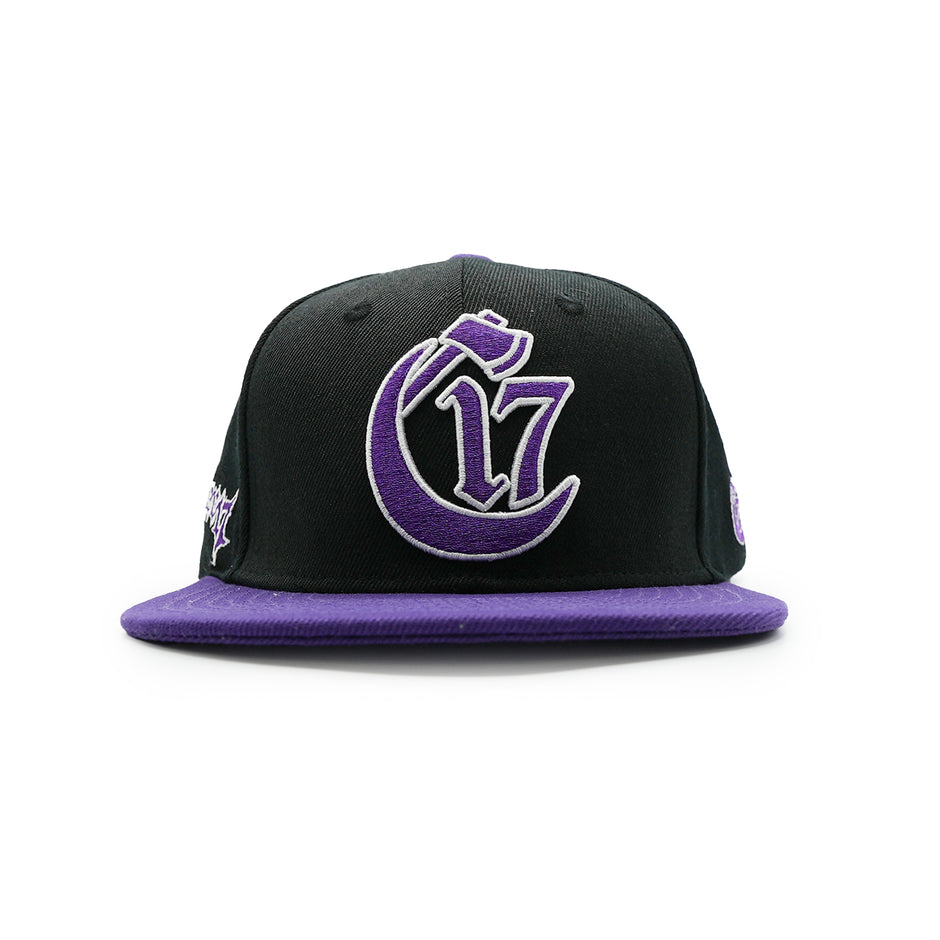 Chapter 17 Records – chapter17